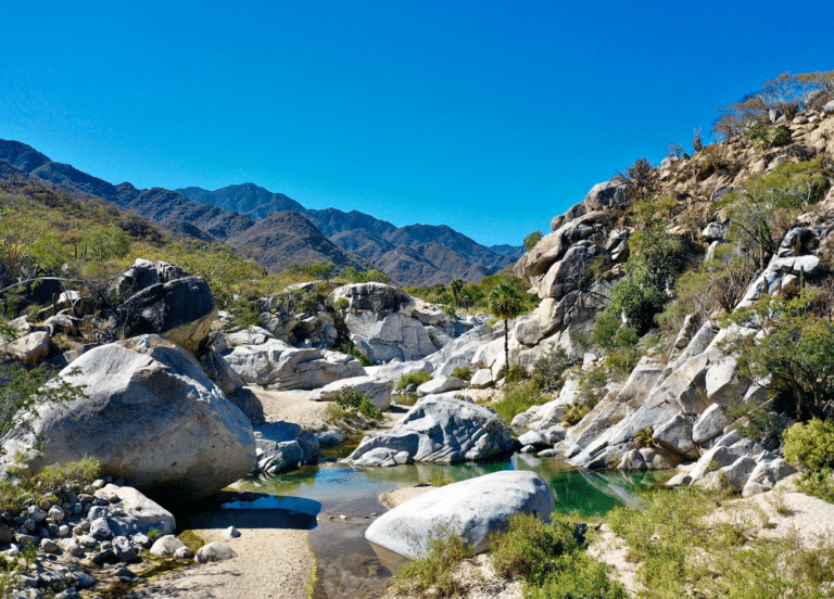 Discover the Untouched Beauty of Sierra de la Laguna: A Hidden Gem in ...